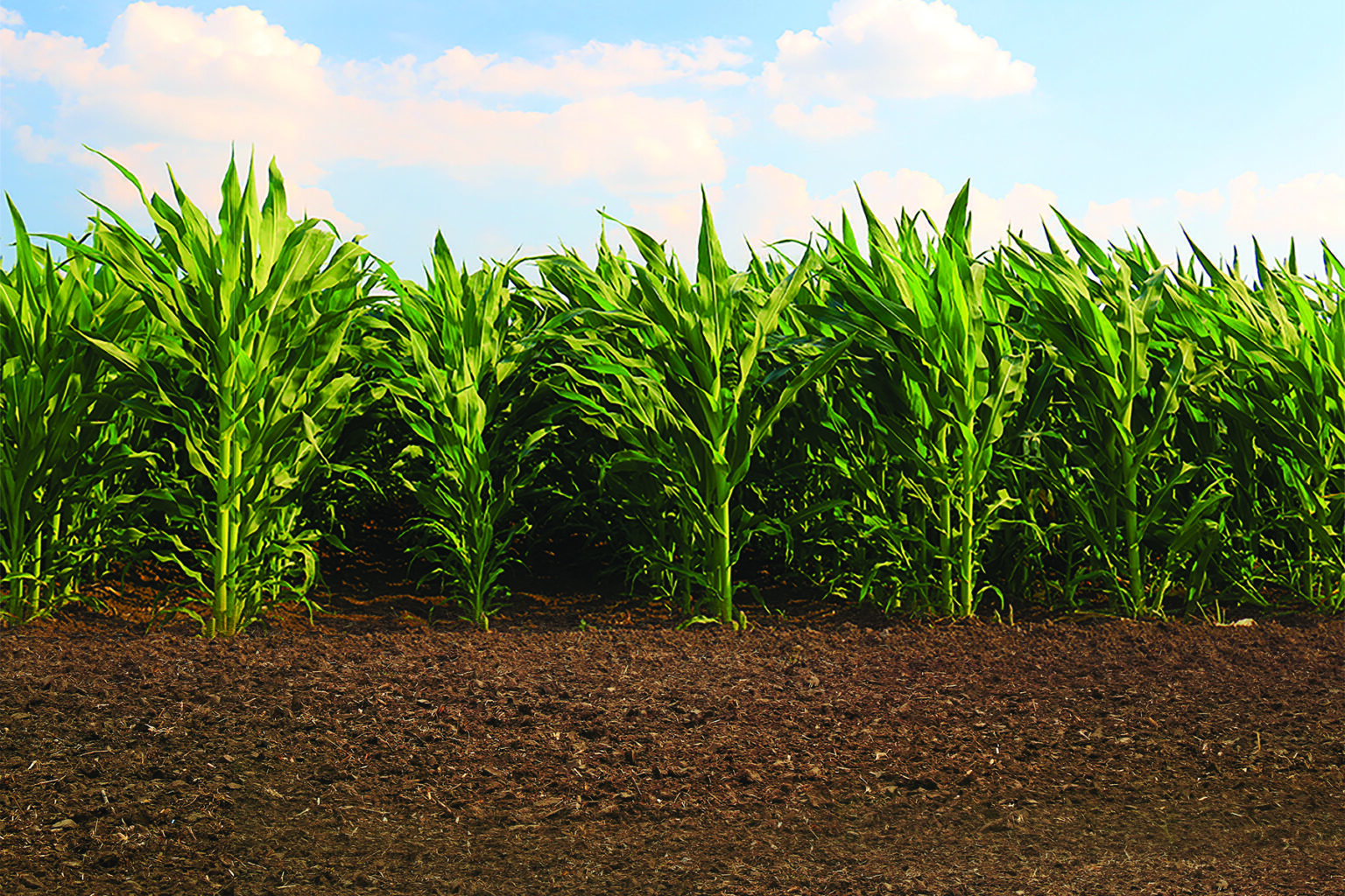 The Complete Farmer's Guide to Humics, Humic Acid, and Fulvic Acid ...