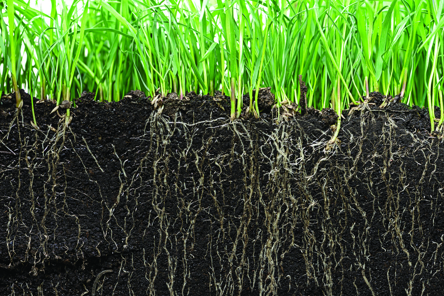 The Complete Farmer's Guide to Humics, Humic Acid, and Fulvic Acid ...