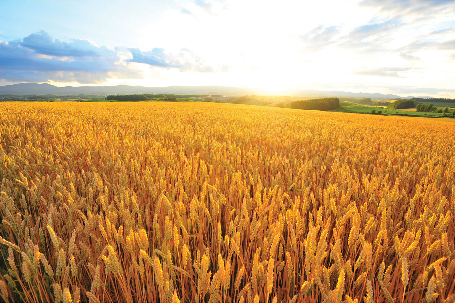 The Complete Farmer's Guide to Humics, Humic Acid, and Fulvic Acid ...