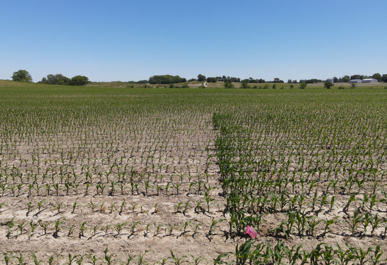 How Monty’s Plant Food Is Helping Indiana Farmer Jason Evans Push Yield ...