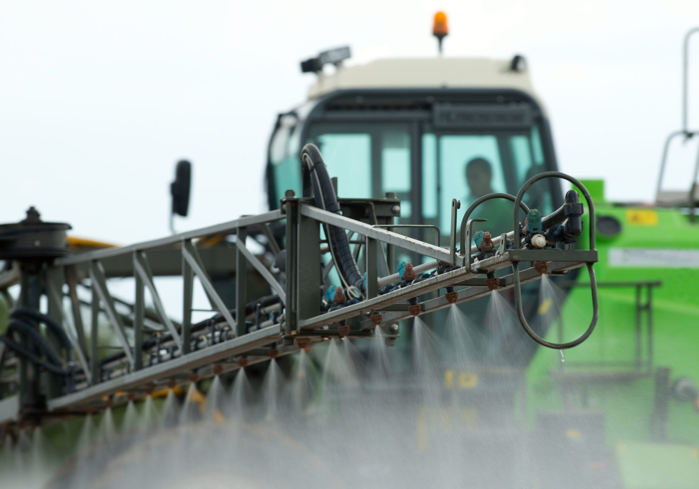 Understanding the Detrimental Effects of Soil Salinity: Impacts and ...